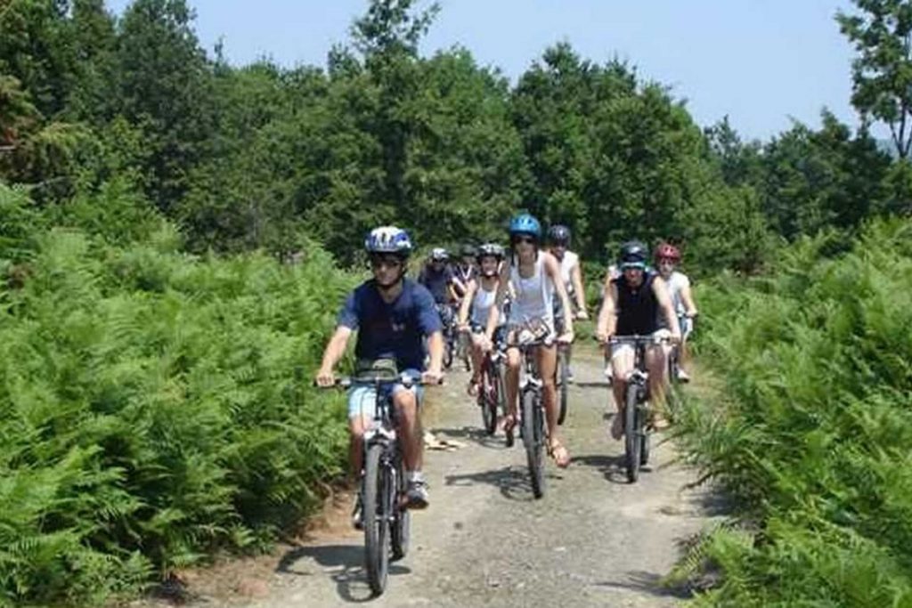 ΠΟΔΗΛΑΣΙΑ – Mountain bike – Metropol Tourism Organisation
